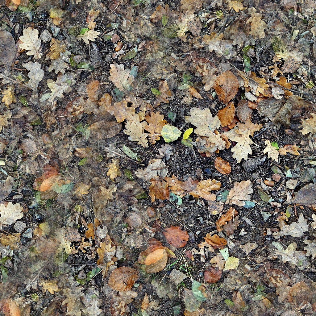 Forest Ground Textures - leaves 4.png | OpenGameArt.org