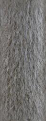Tree Bark - Furry Bark - Seamless Texture with normalmap - FurryBark_S ...