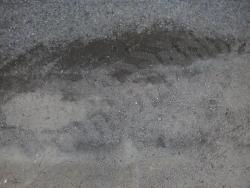 Raw Photos - tx_000458.jpg | OpenGameArt.org